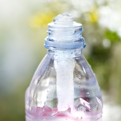 Bottles & Sticks Ice Cube Shapes | Lakeland