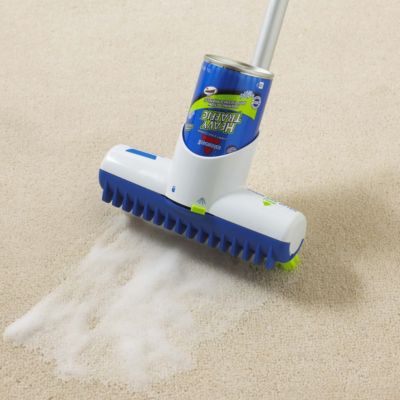 Bissell Rug Stick Carpet Cleaner | Lakeland