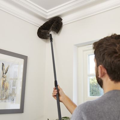 Lakeland Extendable Cob Web Duster | Lakeland
