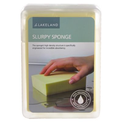 Slurpy Sponge | Lakeland