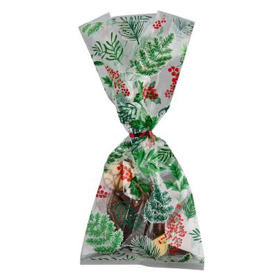 20 Festive Foliage Cello Presentation Bags | Lakeland