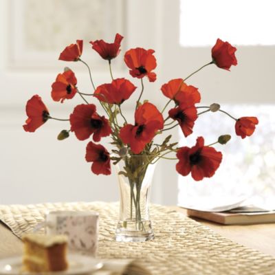 Poppy Vase | Lakeland