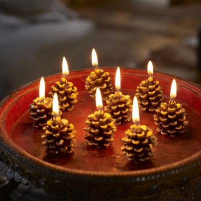9 Pine Cone Candles | Lakeland