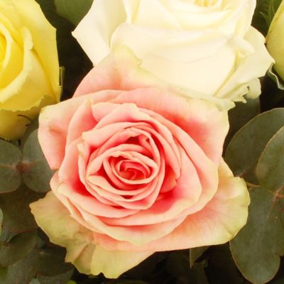 Summer Roses Bouquet with Free Express Delivery | Lakeland