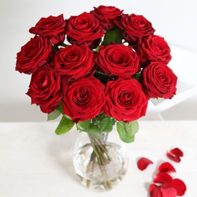 Dozen Luxury Red Roses with Free Express Delivery | Lakeland