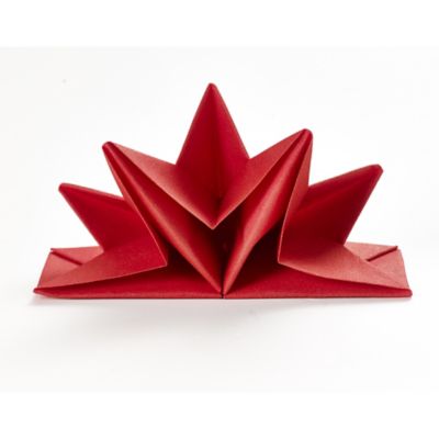 12 Pre Folded Star Napkins | Lakeland