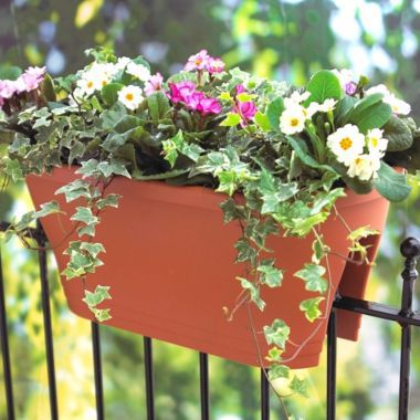 Corsica Balcony Trough | Lakeland