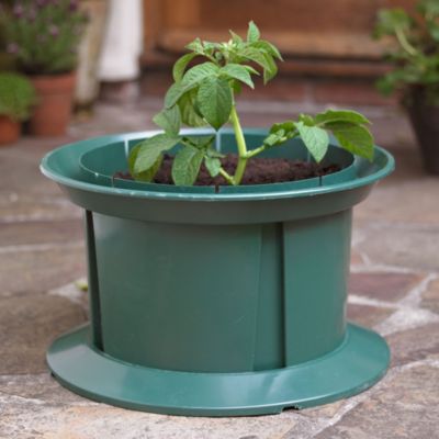 Potato Grow Pot | Lakeland