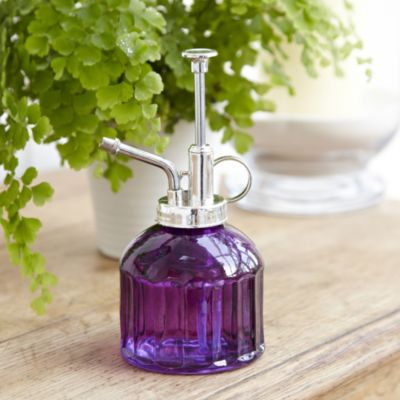 Glass Plant Mister | Lakeland