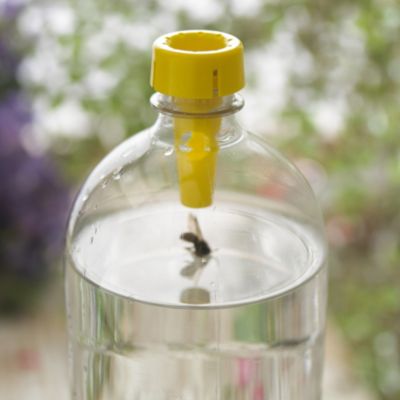 3 Bottle Top Wasp Catchers | Lakeland