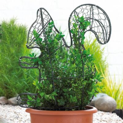 Thompson and Morgan Topiary Squirrel Kit | Lakeland