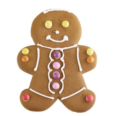 Decorate your Own Gingerbread Man Kit 180g | Lakeland