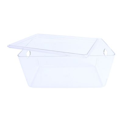 Lakeland Small Clear View Storage Box 4L | Lakeland