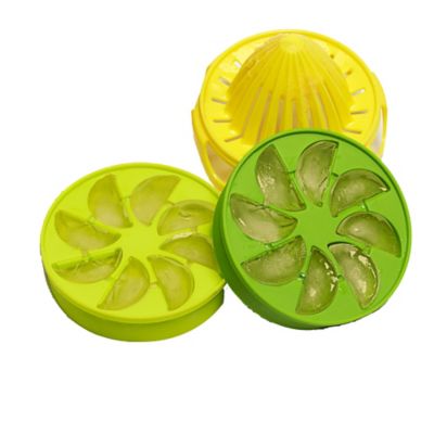 Citrus Ice Cube Infuser Set | Lakeland