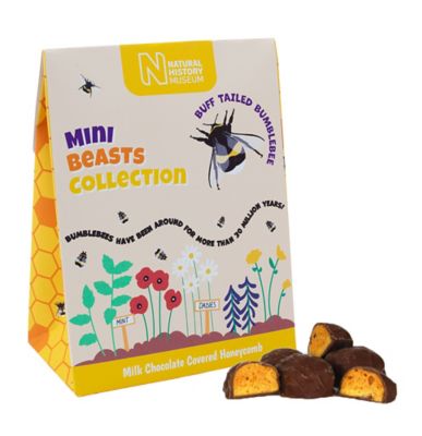 Belgian Chocolate Honeycomb Chunks | Lakeland